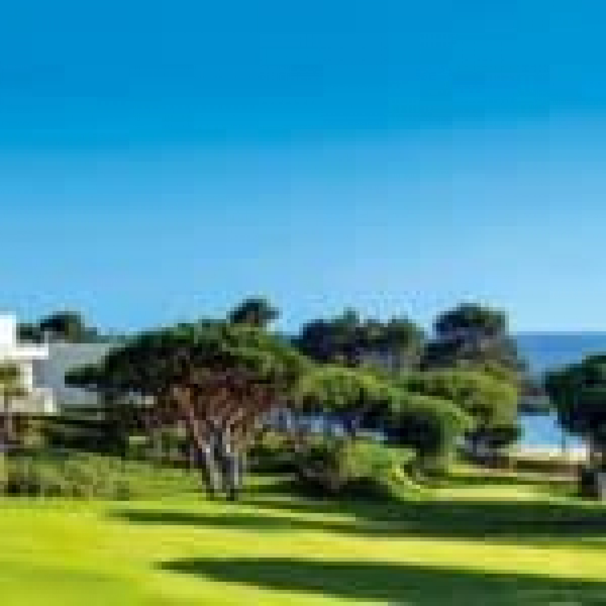 Vale do Lobo Resort - Algarve - Faro - GREEN GOLF